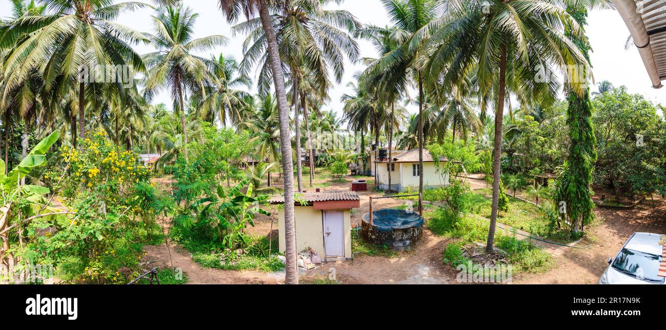 Coconut palm grove with a cottage, well, pump house Stock Photo - Alamy