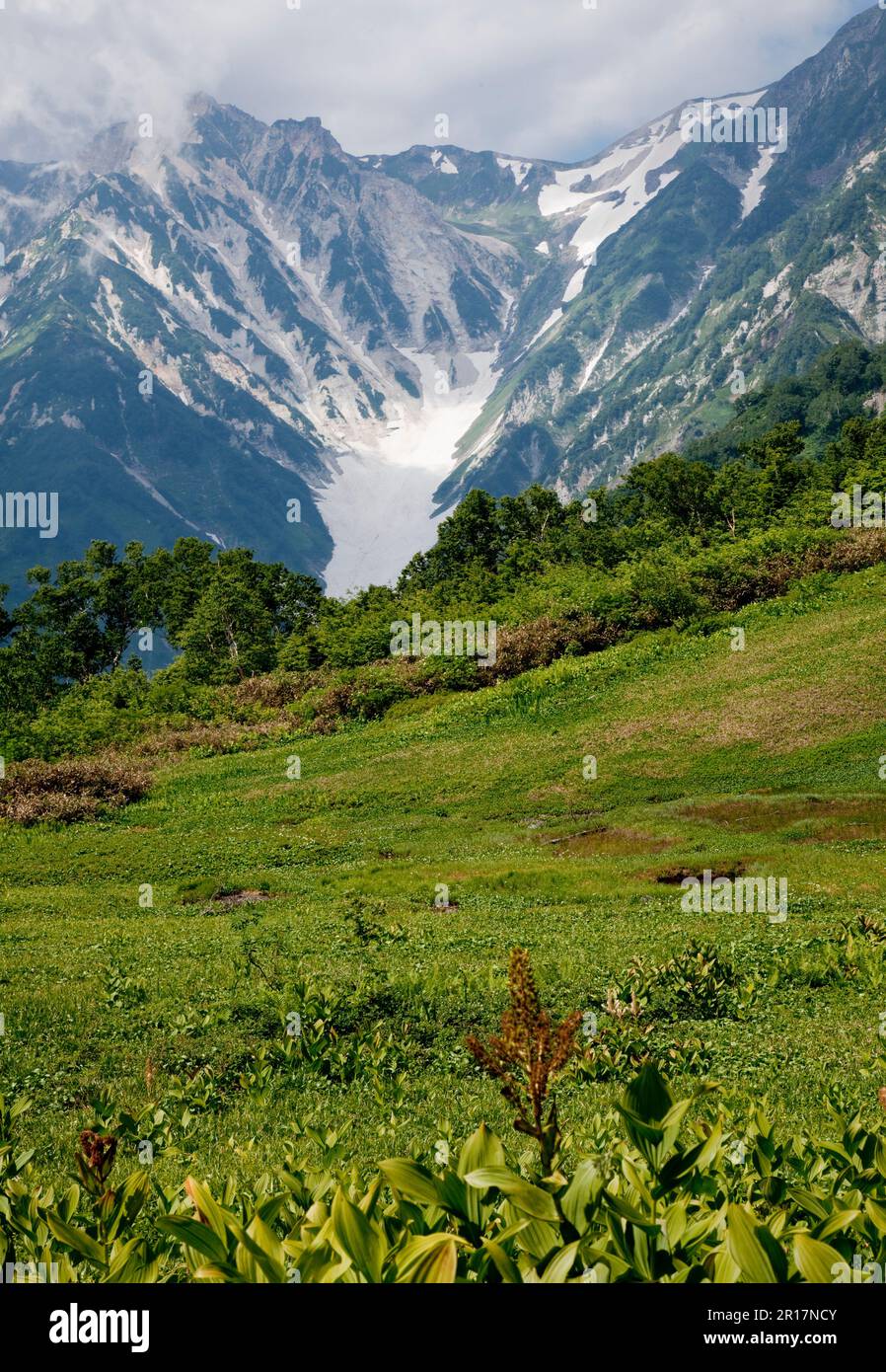 View of large snow valley of Hakuba mountain range from the marshlands of Tsugaike nature park ...