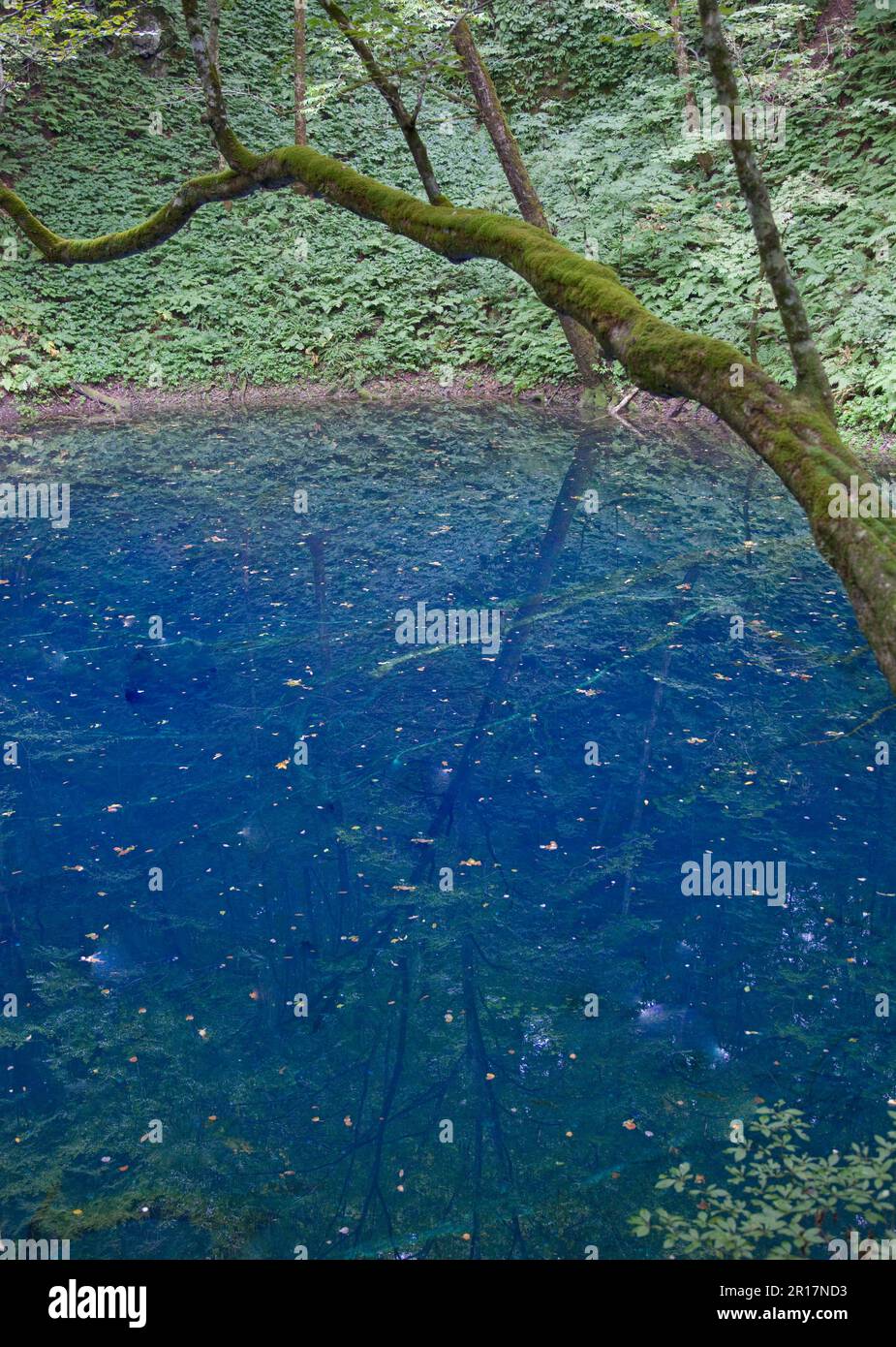 Shirakami mountain range, Aoi ike of Juniko Stock Photo - Alamy