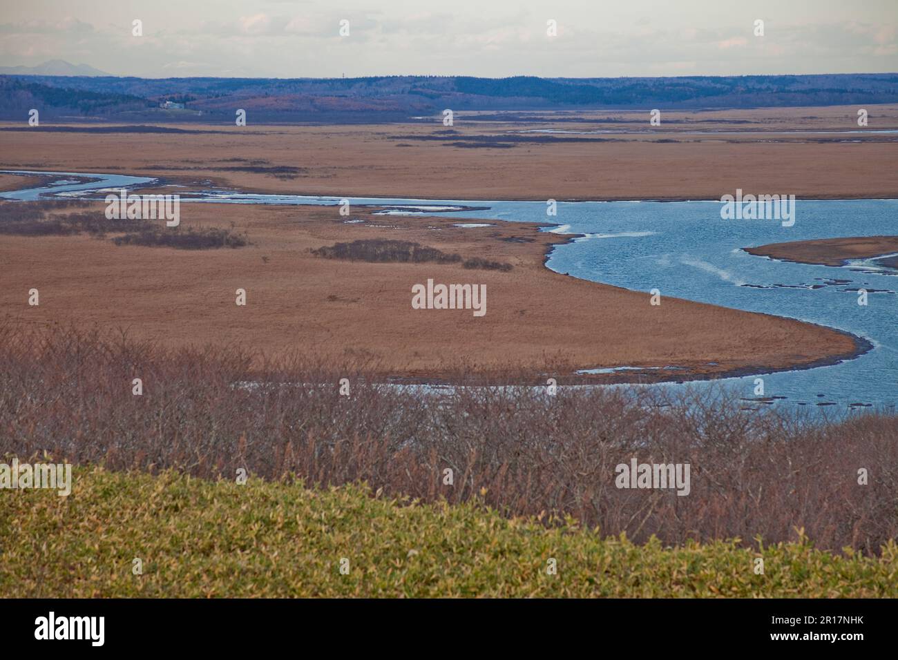 Biwase wetlands seen from the observatory Stock Photo - Alamy