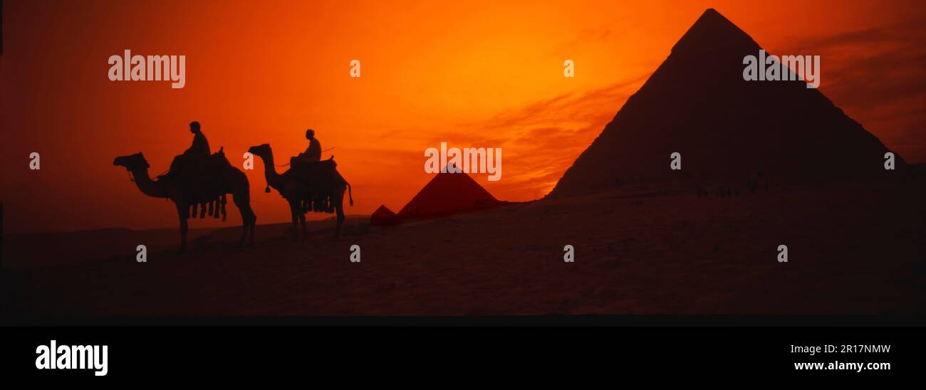 Silhouette camel pyramid sunset giza hi-res stock photography and ...