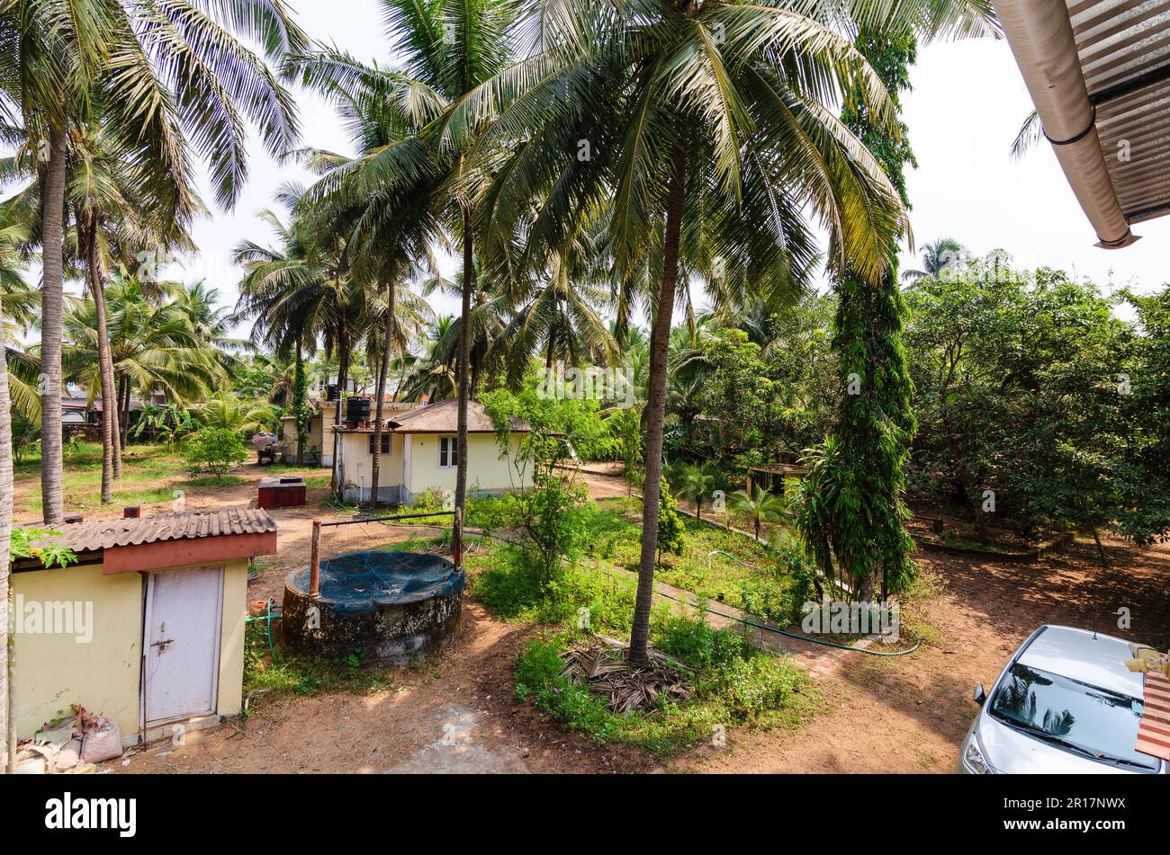 Coconut palm grove with a cottage, well, pump house Stock Photo - Alamy