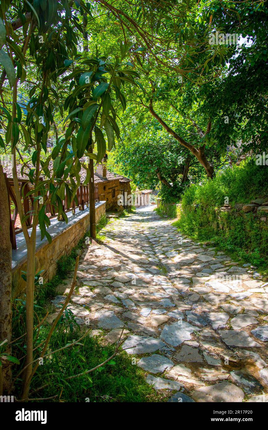 An ancient winding road paved with cobblestone and overgrown by grass ...