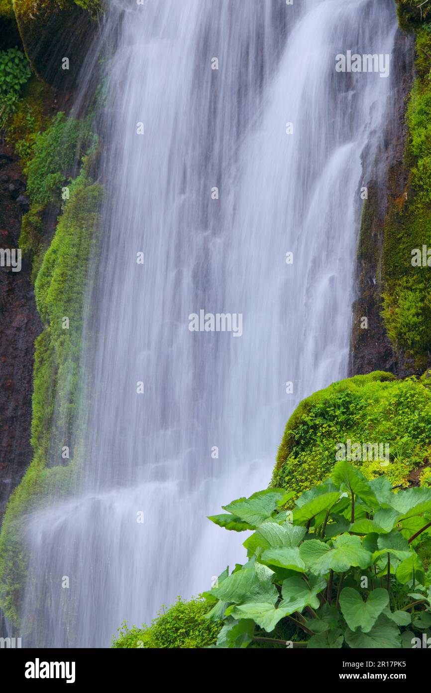 Doryuno waterfall hi-res stock photography and images - Alamy