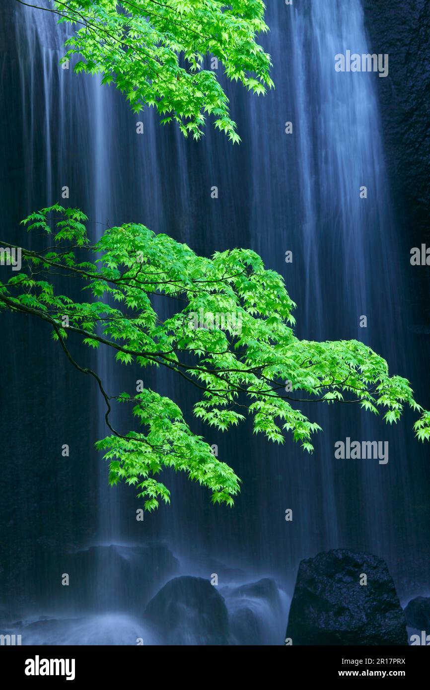 Fudo waterfall hi-res stock photography and images - Alamy