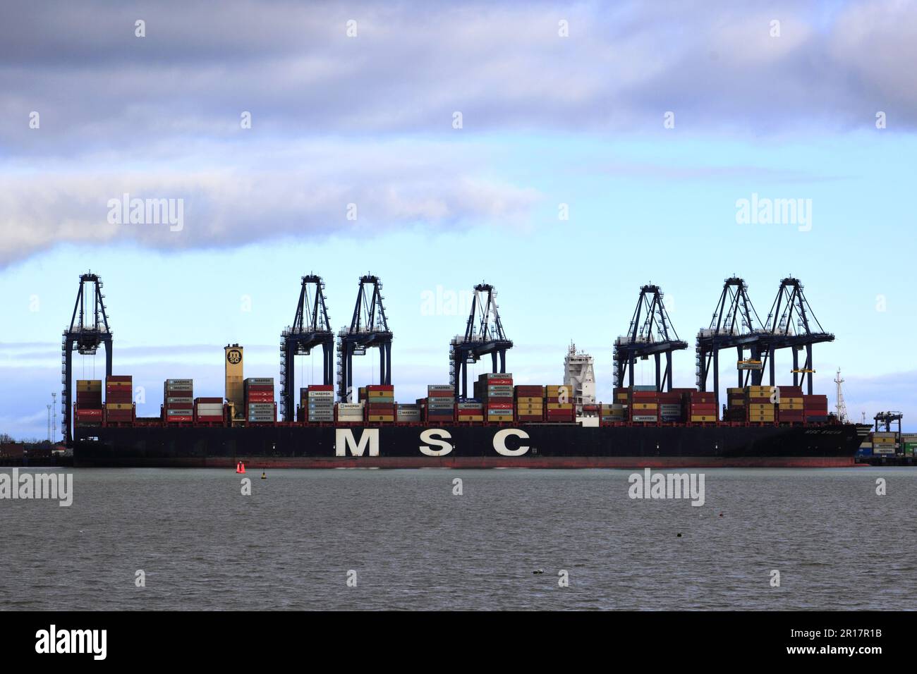 MSC Sveva Container ship, being unloaded and loaded at Felixstowe Port ...