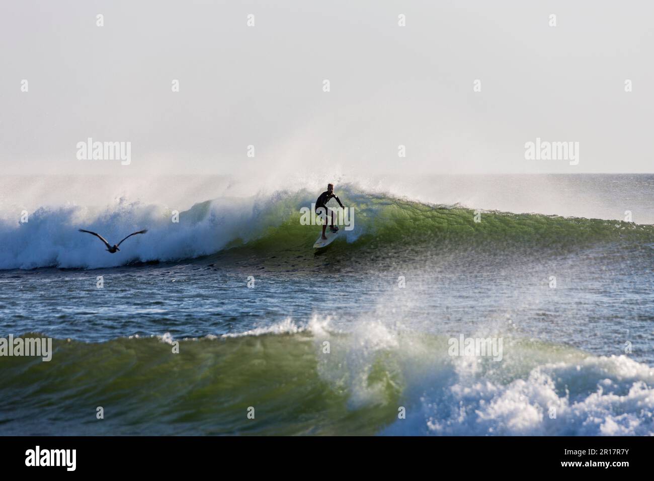 Surfboard over sea wave hi-res stock photography and images - Alamy