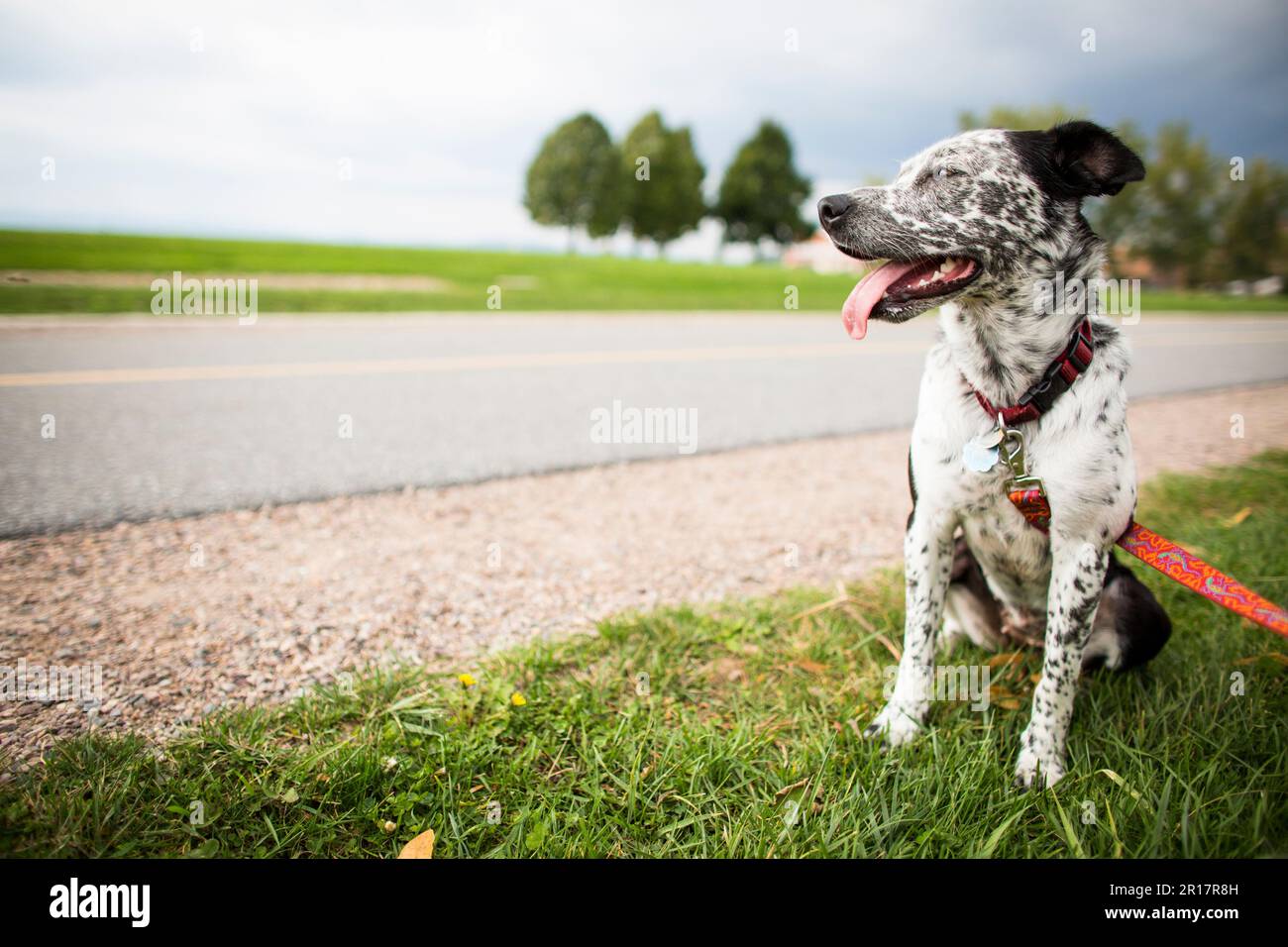 Champlain lake bike hi-res stock photography and images - Alamy