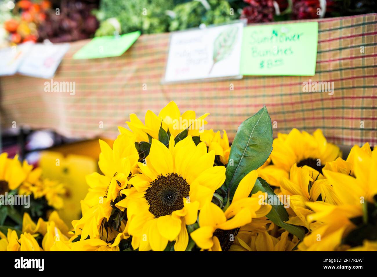 Sunflowers and Produce at the Farmers Market in Burlington Vermo Stock ...