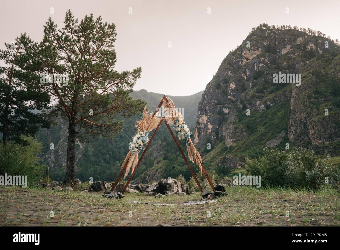Wedding arch in the shape of a triangle with ears of grass Stock Photo ...