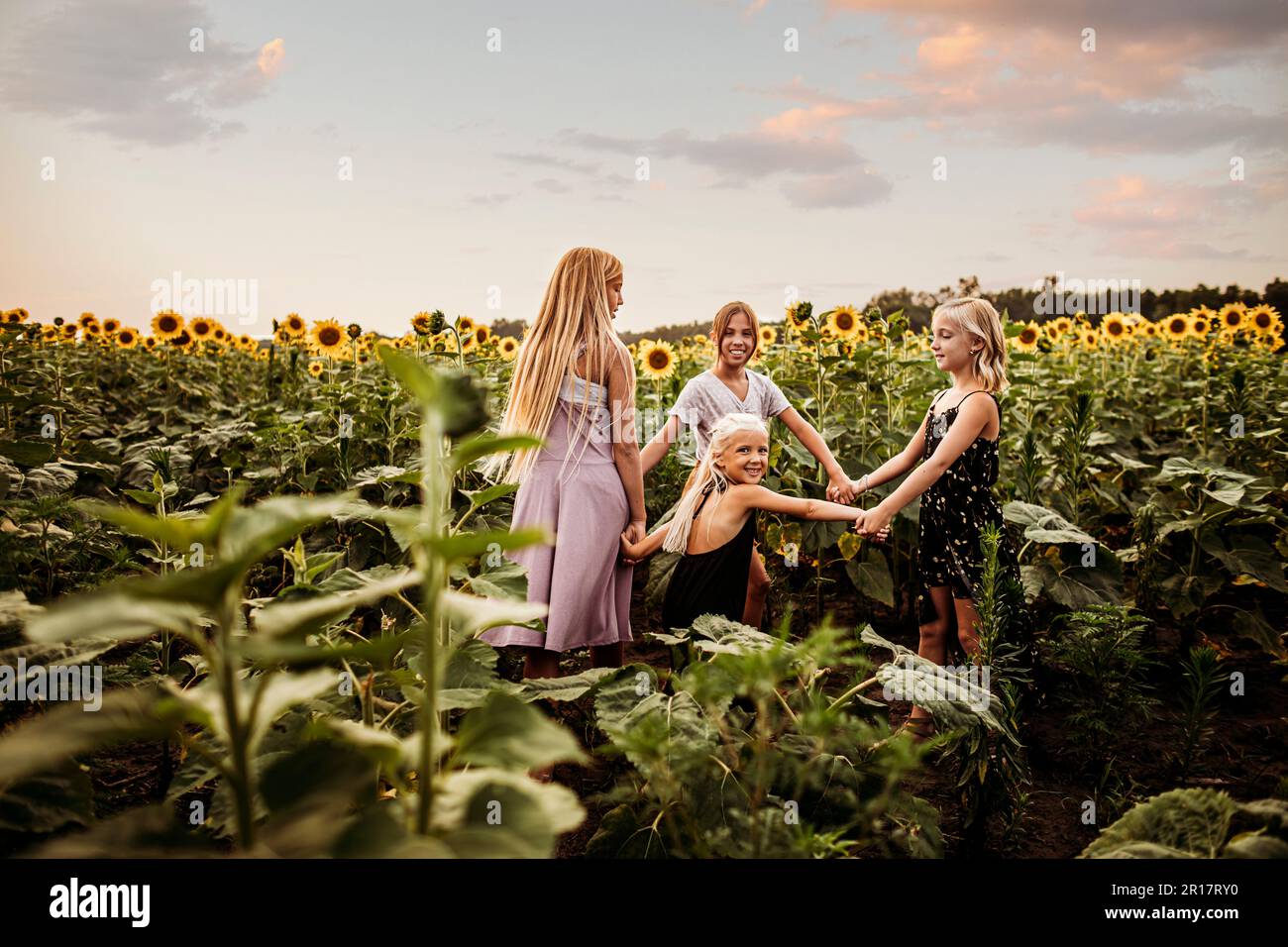 Young girls dancinig in a sunflower field in northwest Indiana Stock ...
