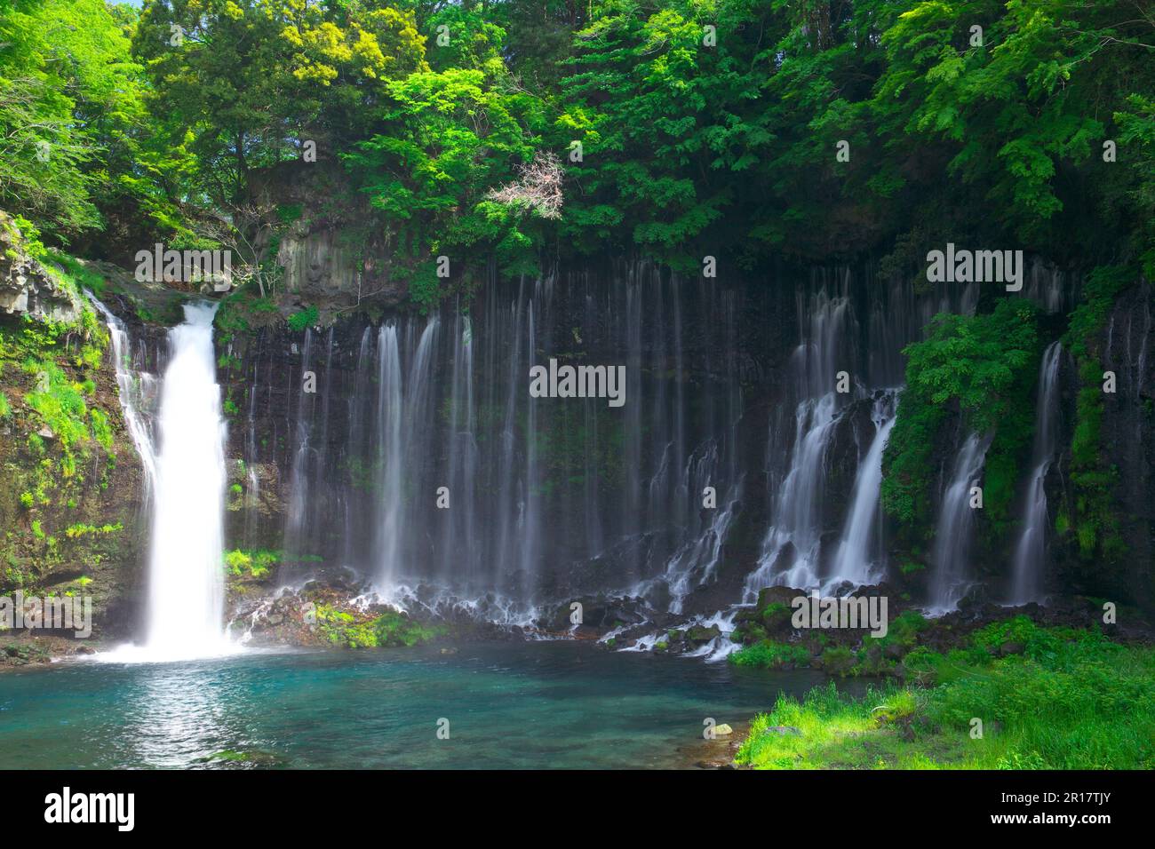 Shiraito Falls in fresh green Stock Photo - Alamy