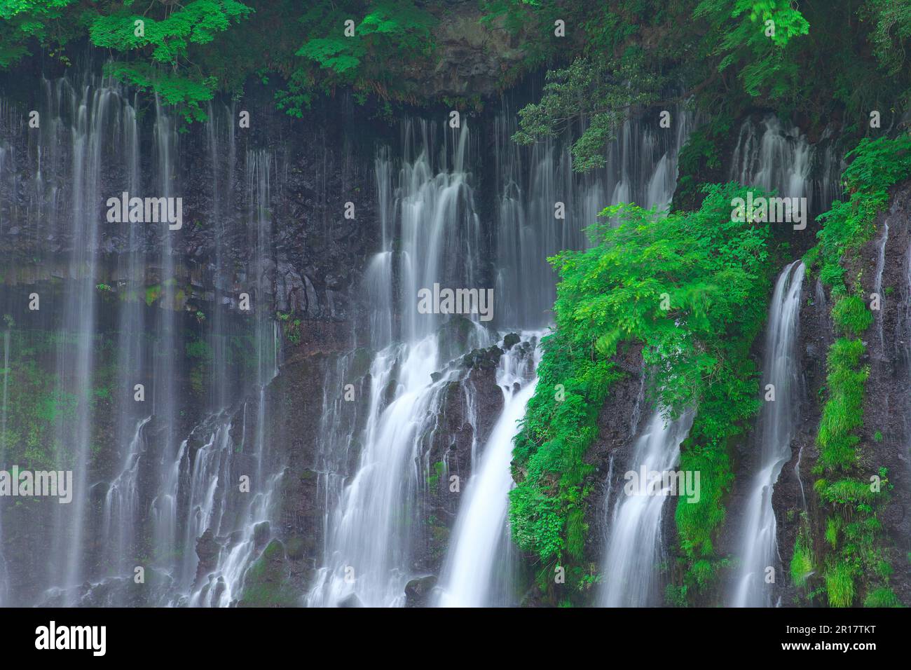 Shiraito waterfalls in shizuoka hi-res stock photography and images - Alamy