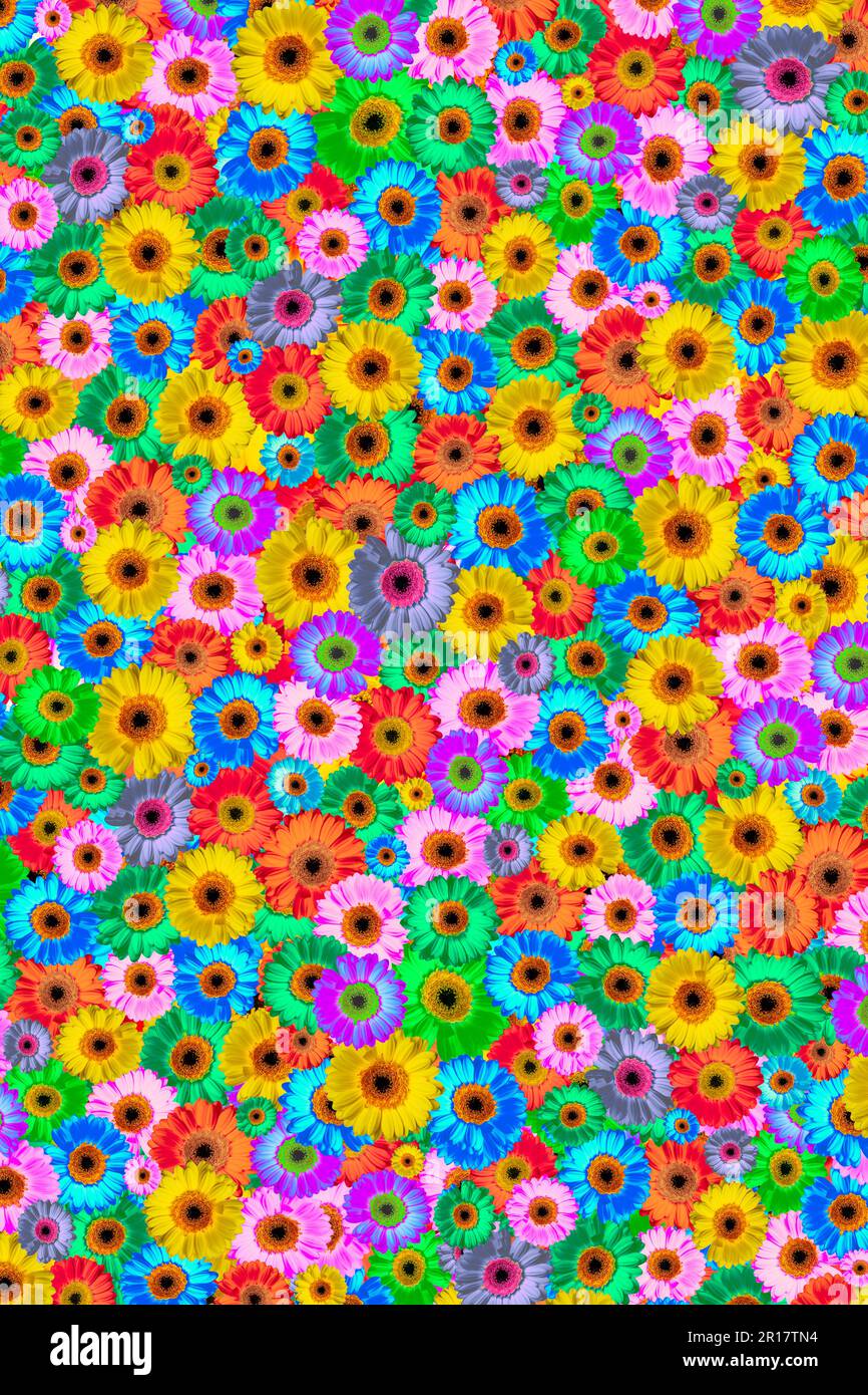 big and small colorful flowers background Stock Photo - Alamy