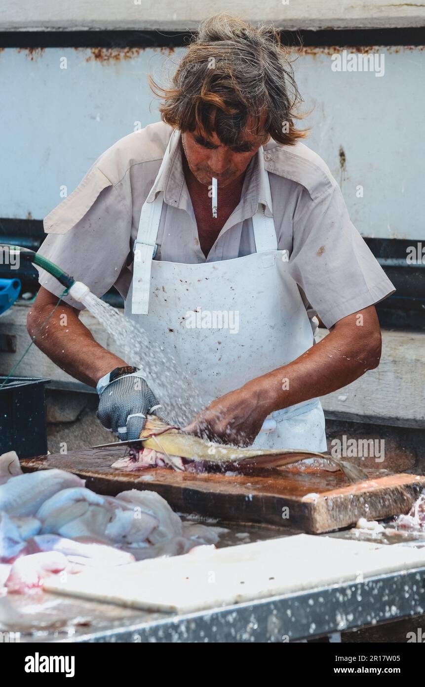 Fisherman cleaning the catch of the day in the port of Punta del Stock ...