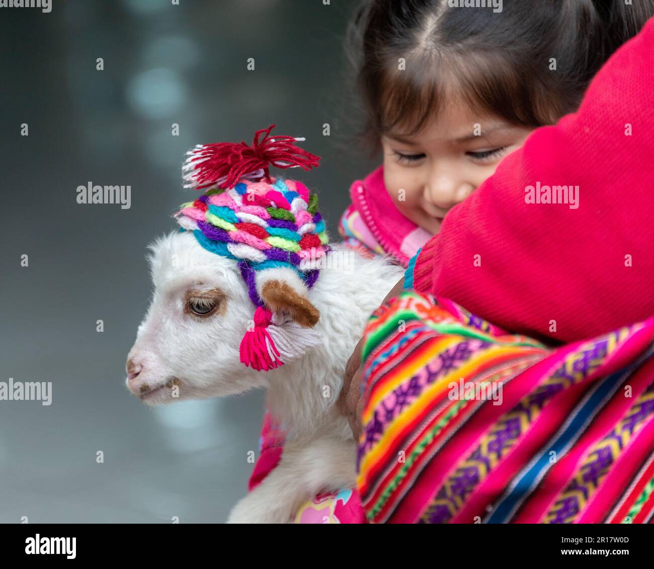 Girl and a goat held by a woman in traditional Peruvian clothing Stock ...