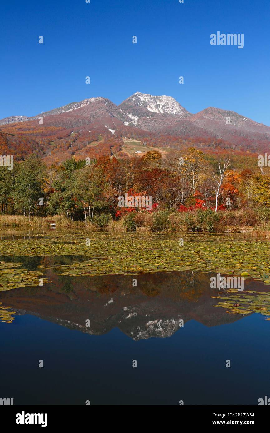 Myoko kogen japan hi-res stock photography and images - Alamy