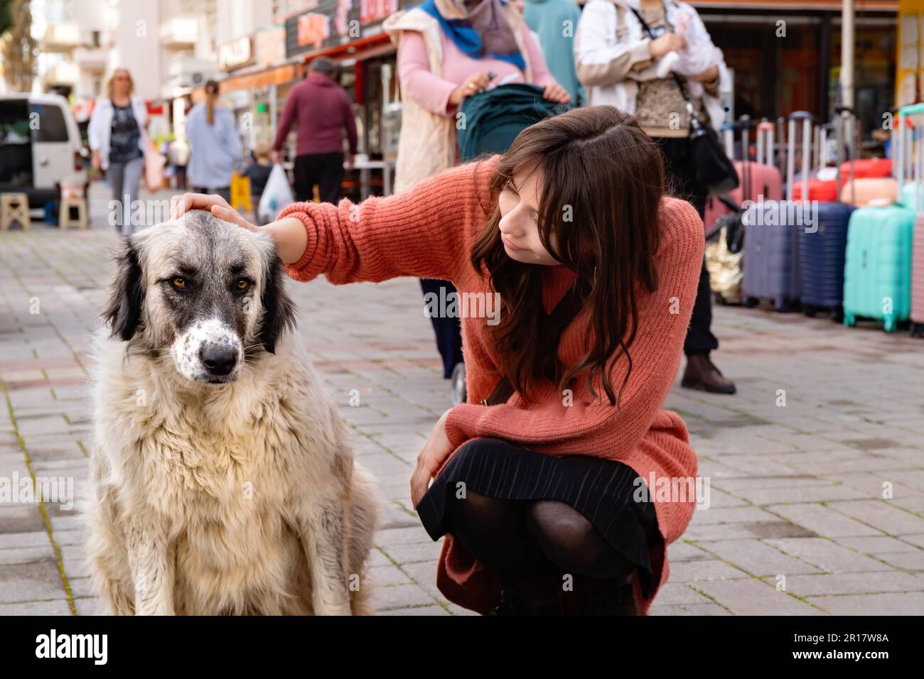 Homeless woman dog hi-res stock photography and images - Alamy