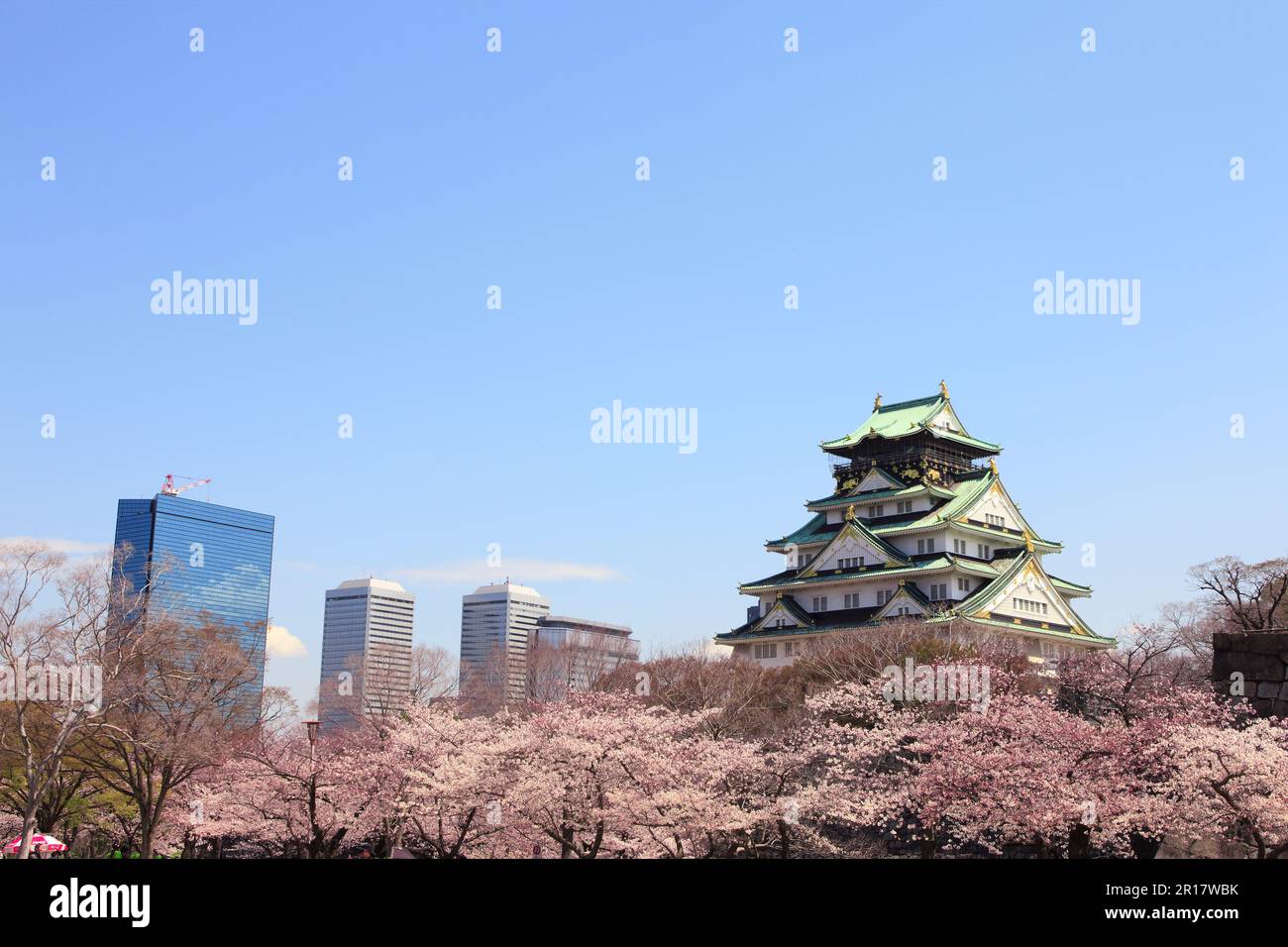 Group of buildings, Yoshino cherry tree and Osaka Castle Stock Photo ...