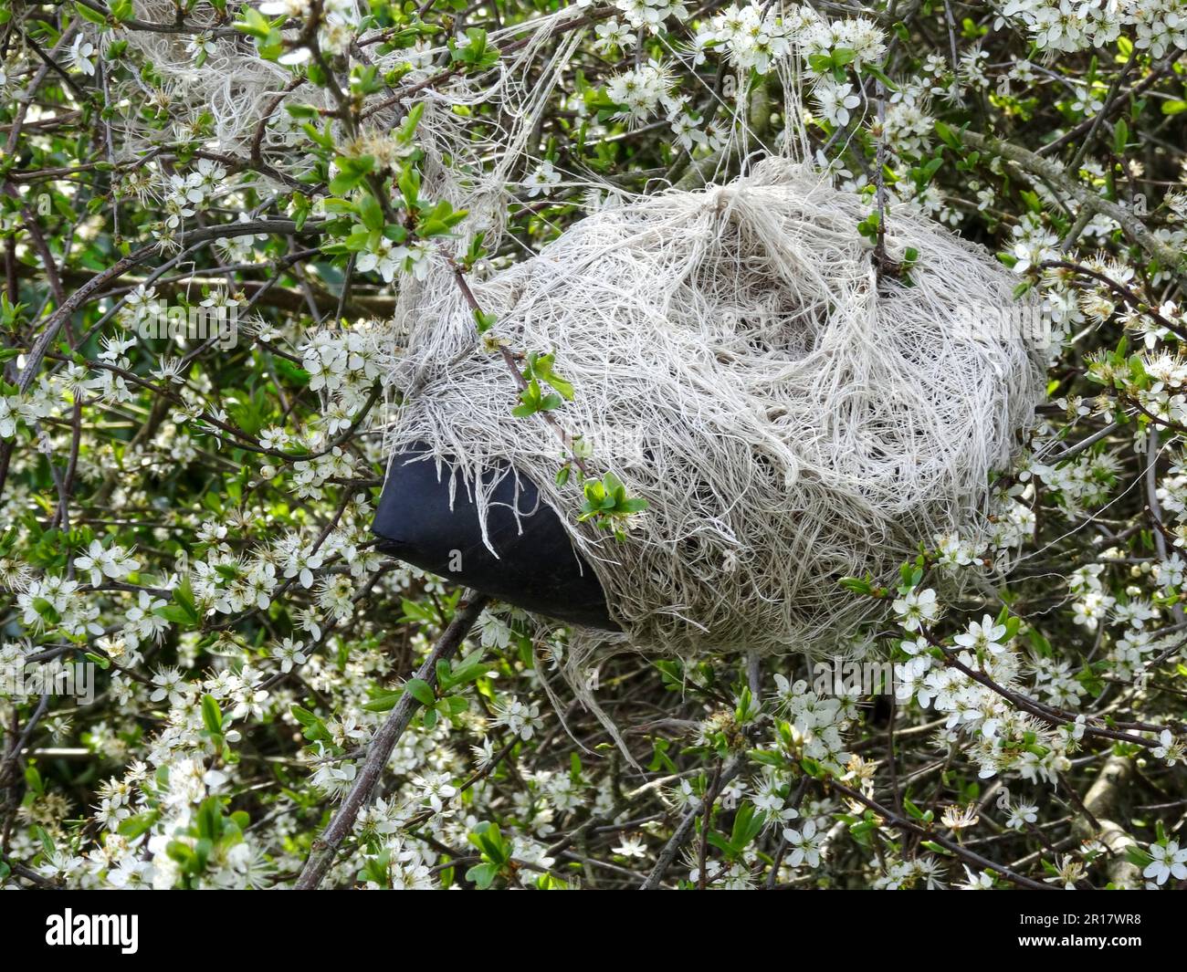 Found print ready close up quirky still life of intriguing structure in ...