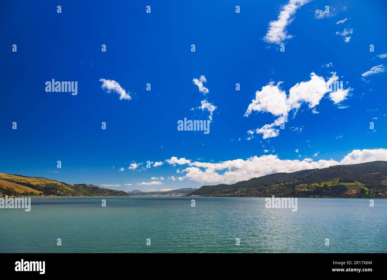 Scenic Otago Harbour coast near Dunedin in South Island of New Zealand ...