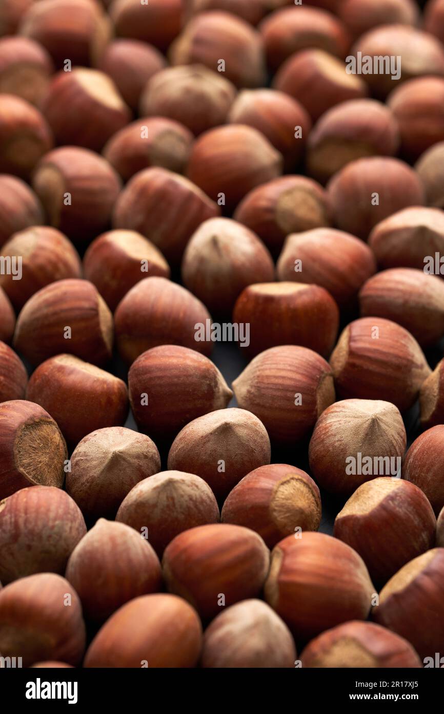 Whole hazelnuts nuts with shell close-up studio shot Stock Photo - Alamy