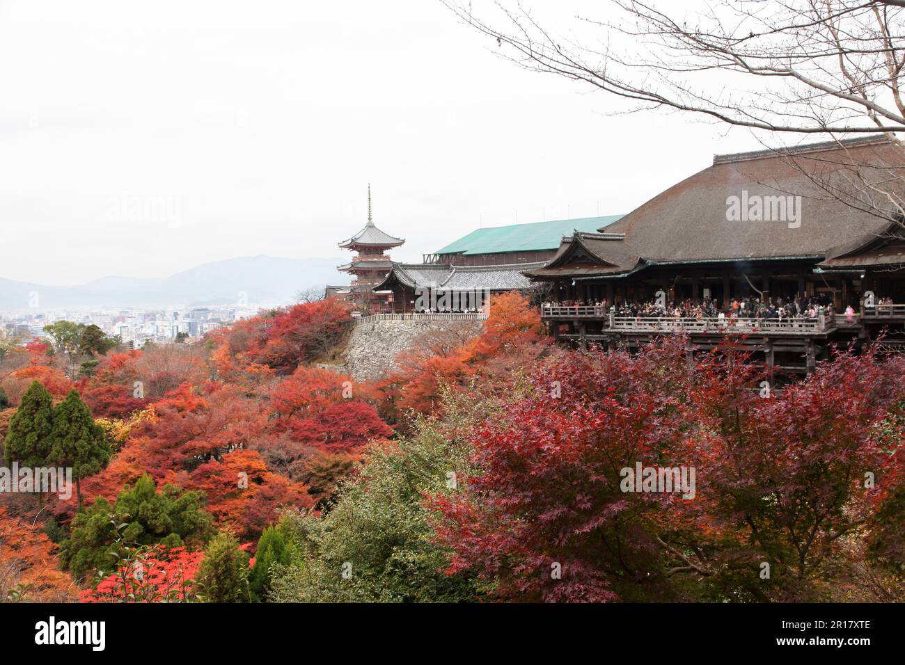 Autumn foliage of Kiyomizudera temple Stock Photo - Alamy