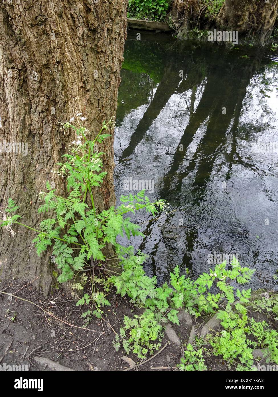 Demonstrating distinct textures hi-res stock photography and images - Alamy