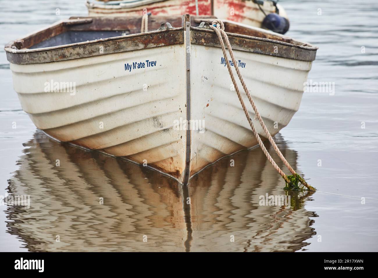 A moored dinghy and its reflection in the water; Teignmouth, Devon ...