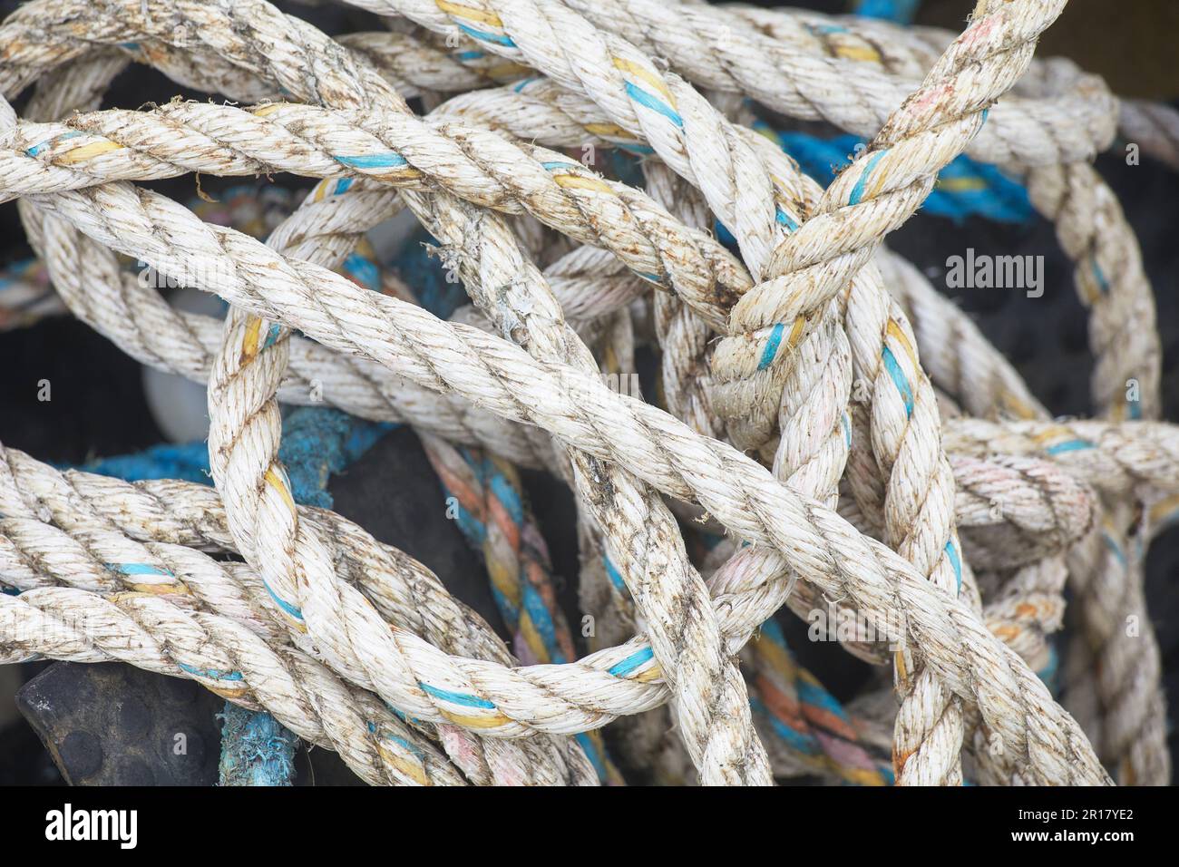 Tangled Knot
