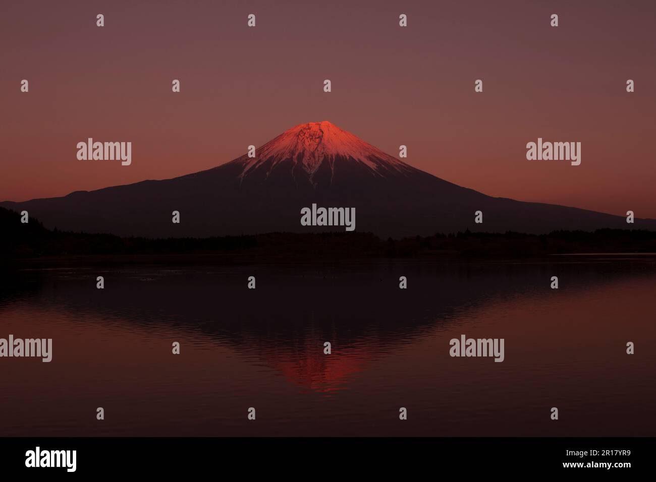 Mt. Fuji as seen from Lake Tanuki colored with sunset Stock Photo - Alamy