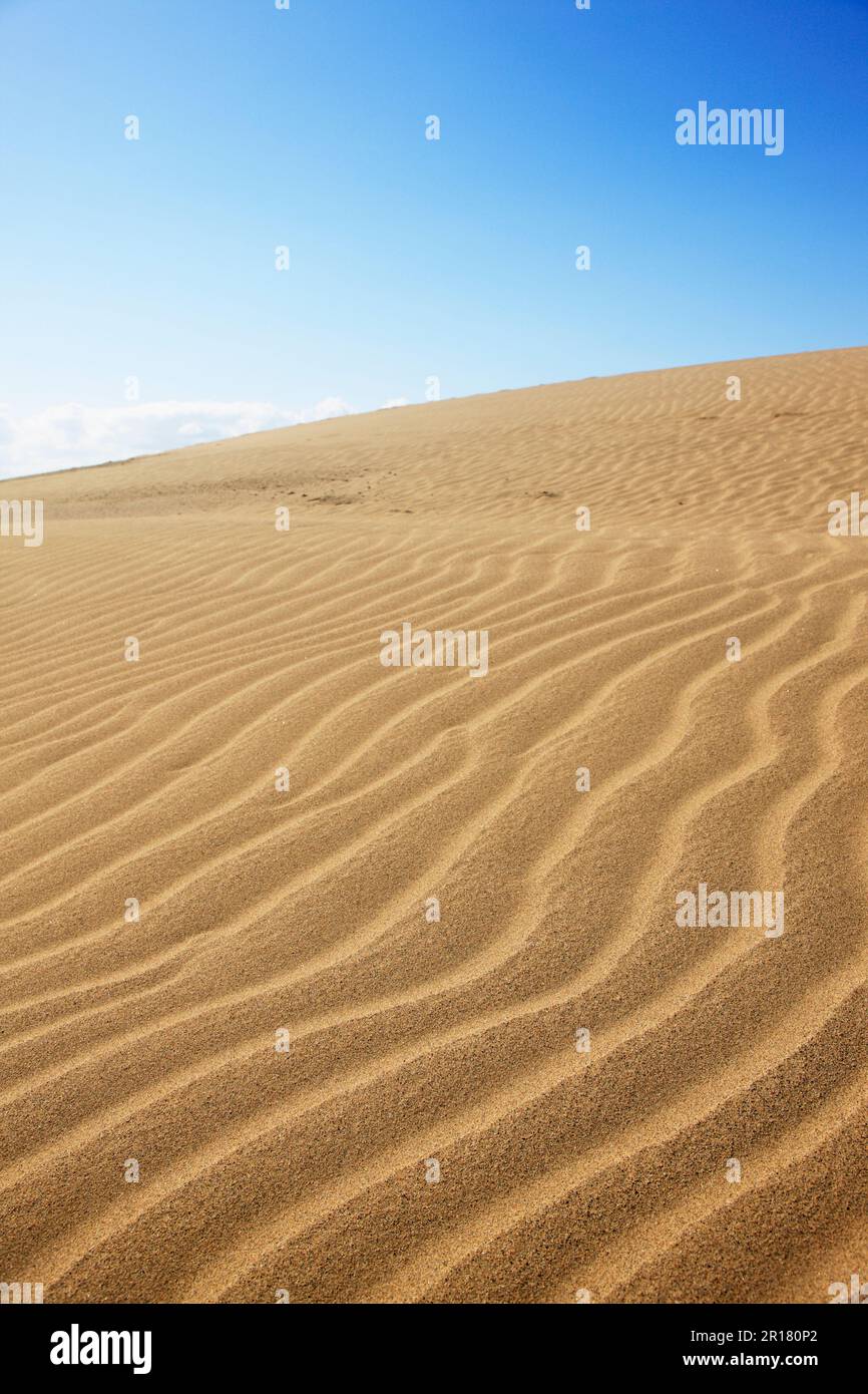 Tottori sand dunes Stock Photo - Alamy