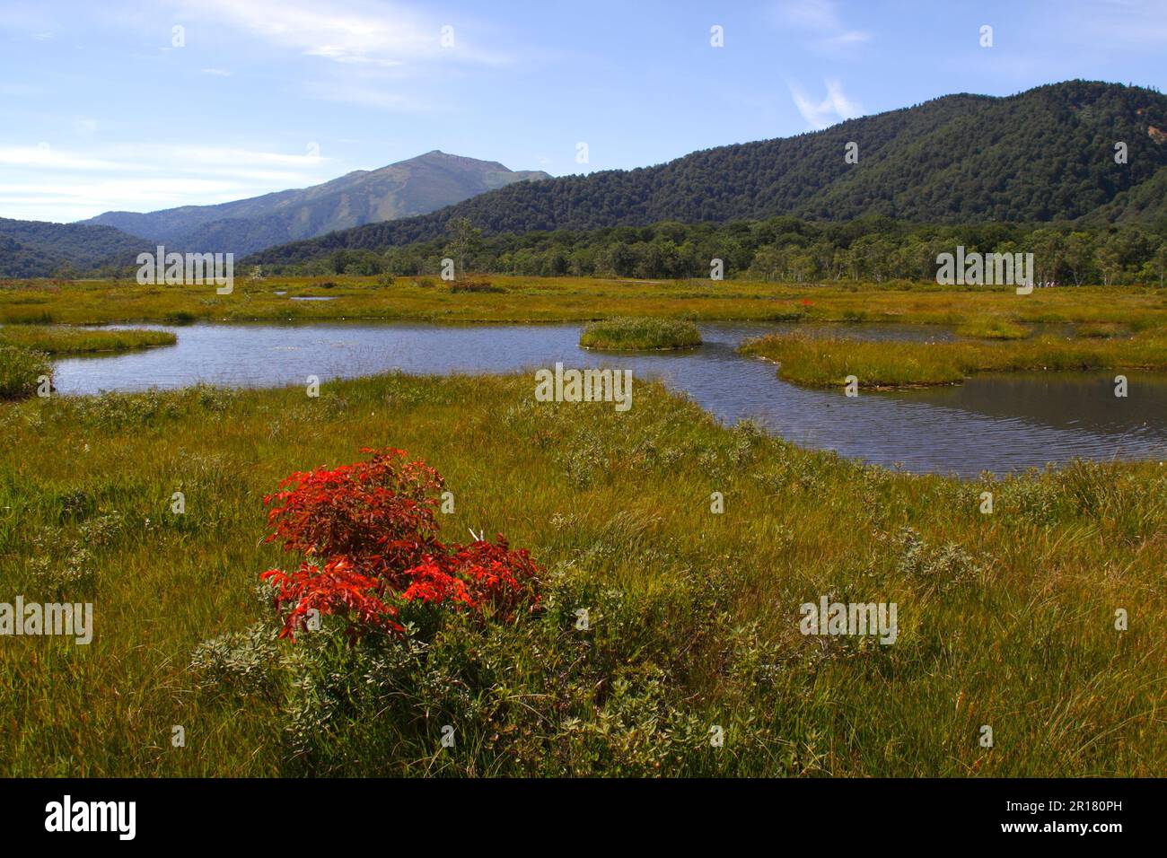 Ozegahara overlooking Mount Shibutsu Stock Photo - Alamy