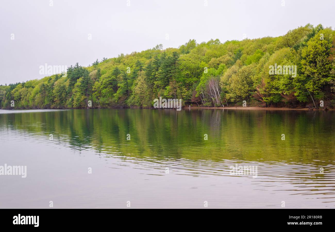Henry david thoreau's cabin walden pond hi-res stock photography and ...