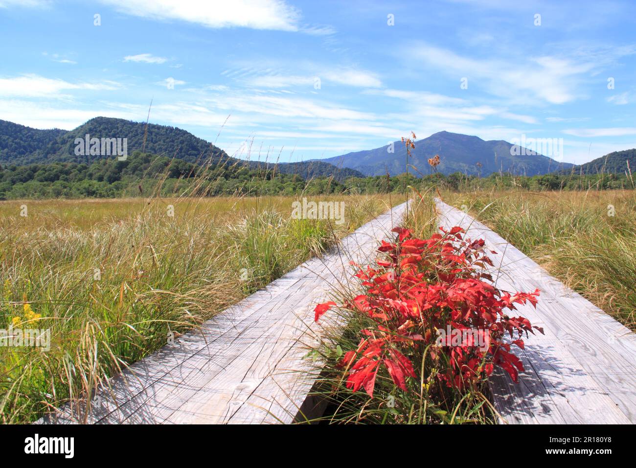 Ozegahara overlooking Mount Shibutsu Stock Photo - Alamy