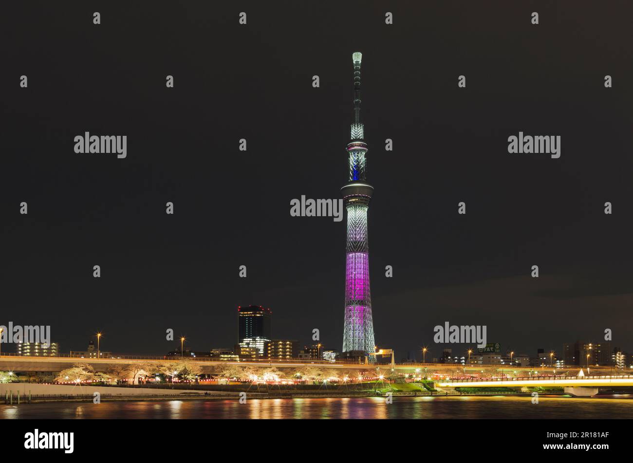 Tokyo Sky Tree and cherry blossoms at Sumida park at night Stock Photo ...