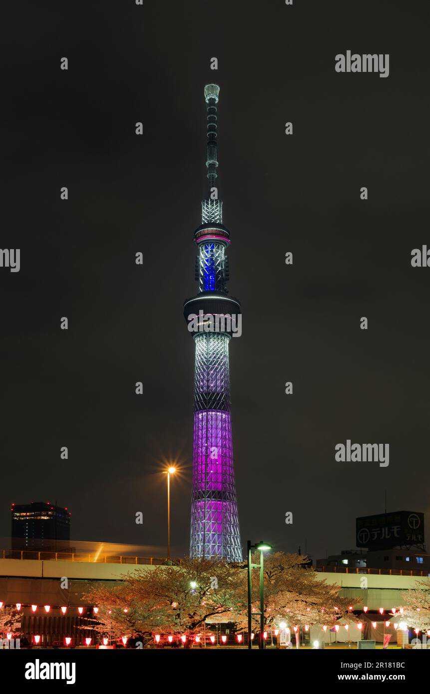 2013 sakura 100 best attractions hi-res stock photography and images ...