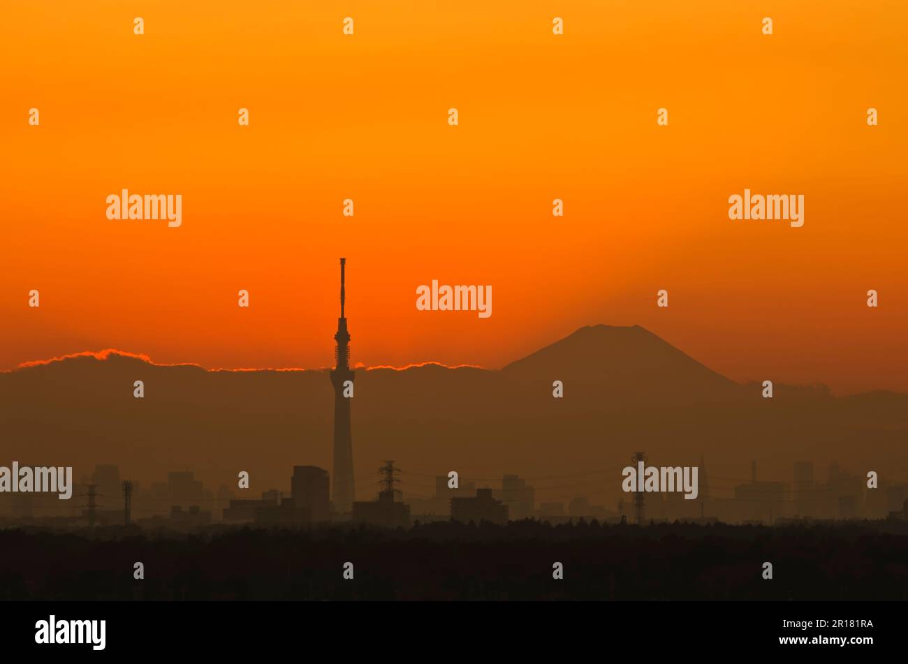 Tokyoskytree tower and the shades of Mt. Fuji seen from Kamagayashi ...