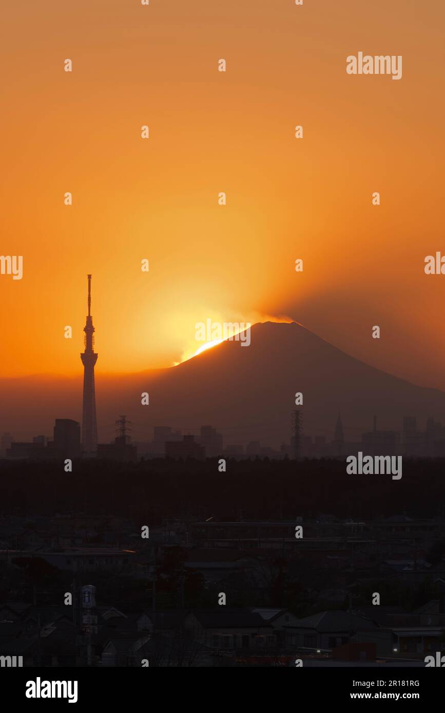 Tokyoskytree tower and the sunset shades of Mt. Fuji seen from ...