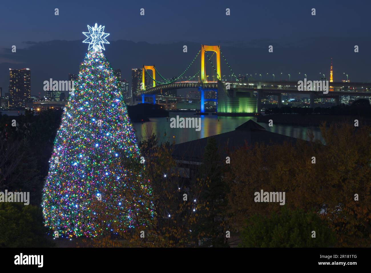 Night scene of? Memorial Christmas Tree in Odaiba?and Rainbow Bridge ...
