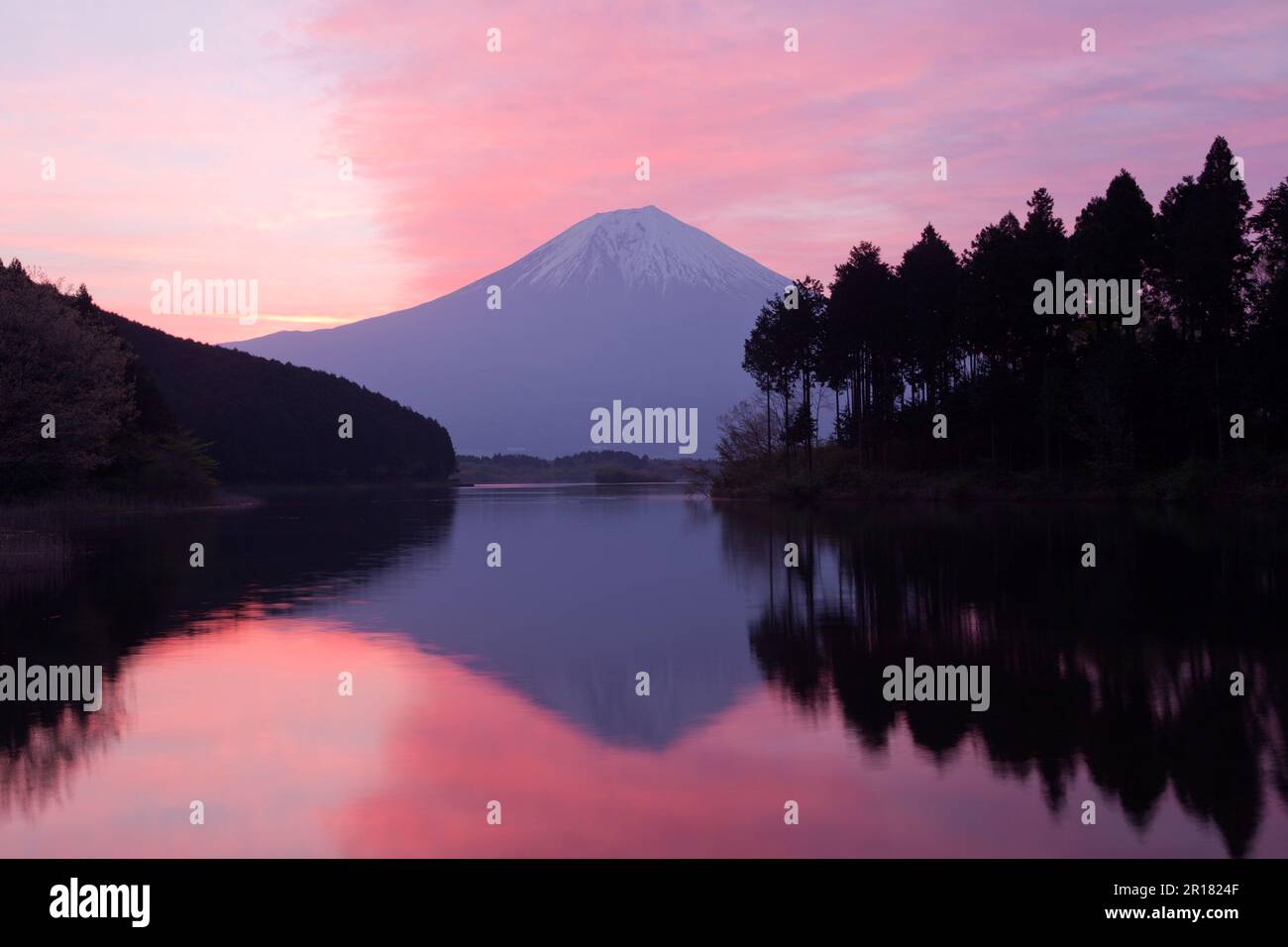 Lake Tanuki and Mt. Fuji in the morning glow Stock Photo - Alamy