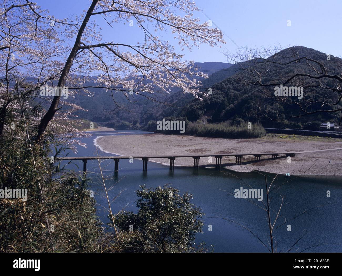 Katsuma Chinkabashi Bridge and cherry trees, Shimanto River Stock Photo ...