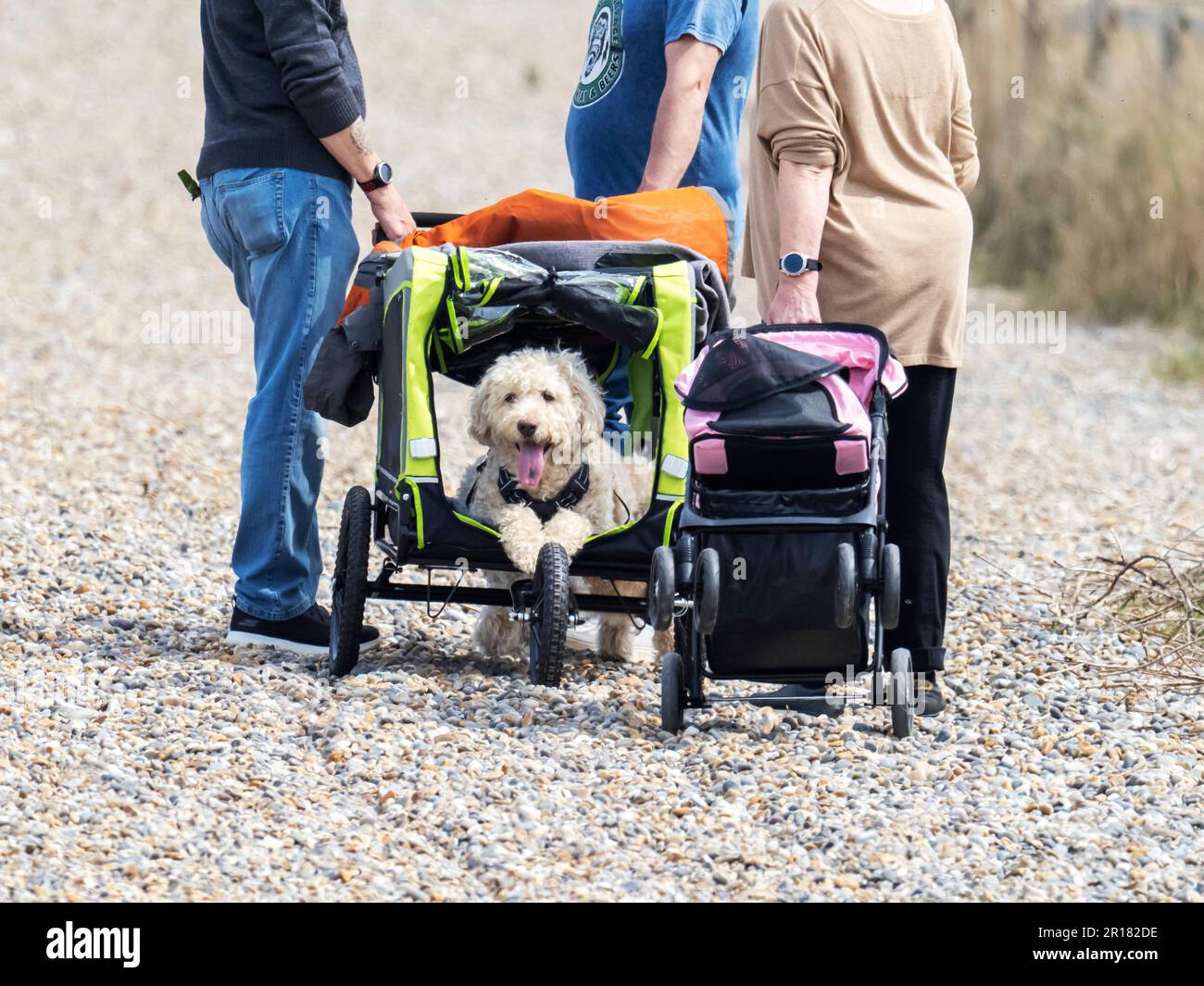 Dragging a chair hi-res stock photography and images - Alamy