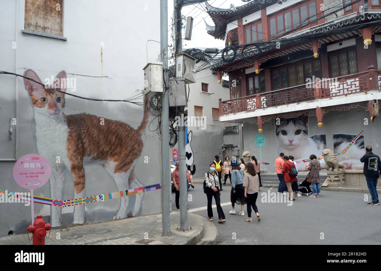 Shanghai, China. 10th May, 2023, An old street draws visitors following ...