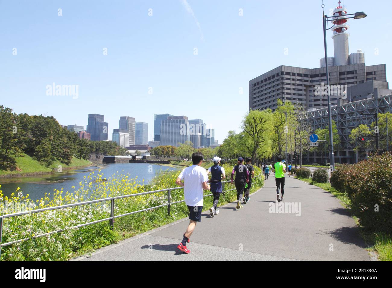 People jogging along the outer loop of the Kokyo running course Stock ...