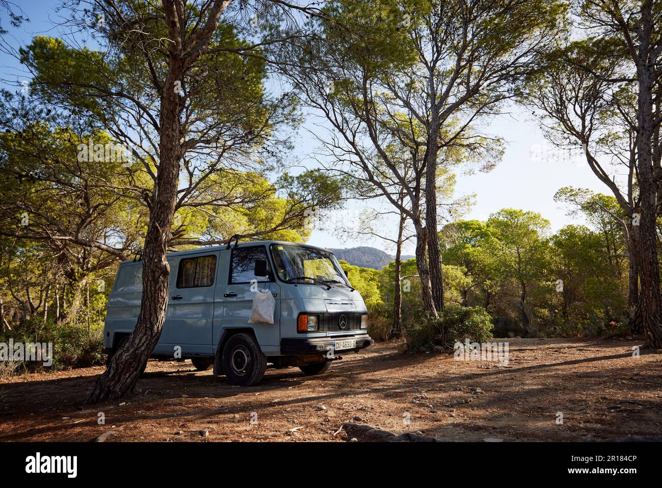 A light blue van parked beneath a group of tall trees. Camping in Sant ...
