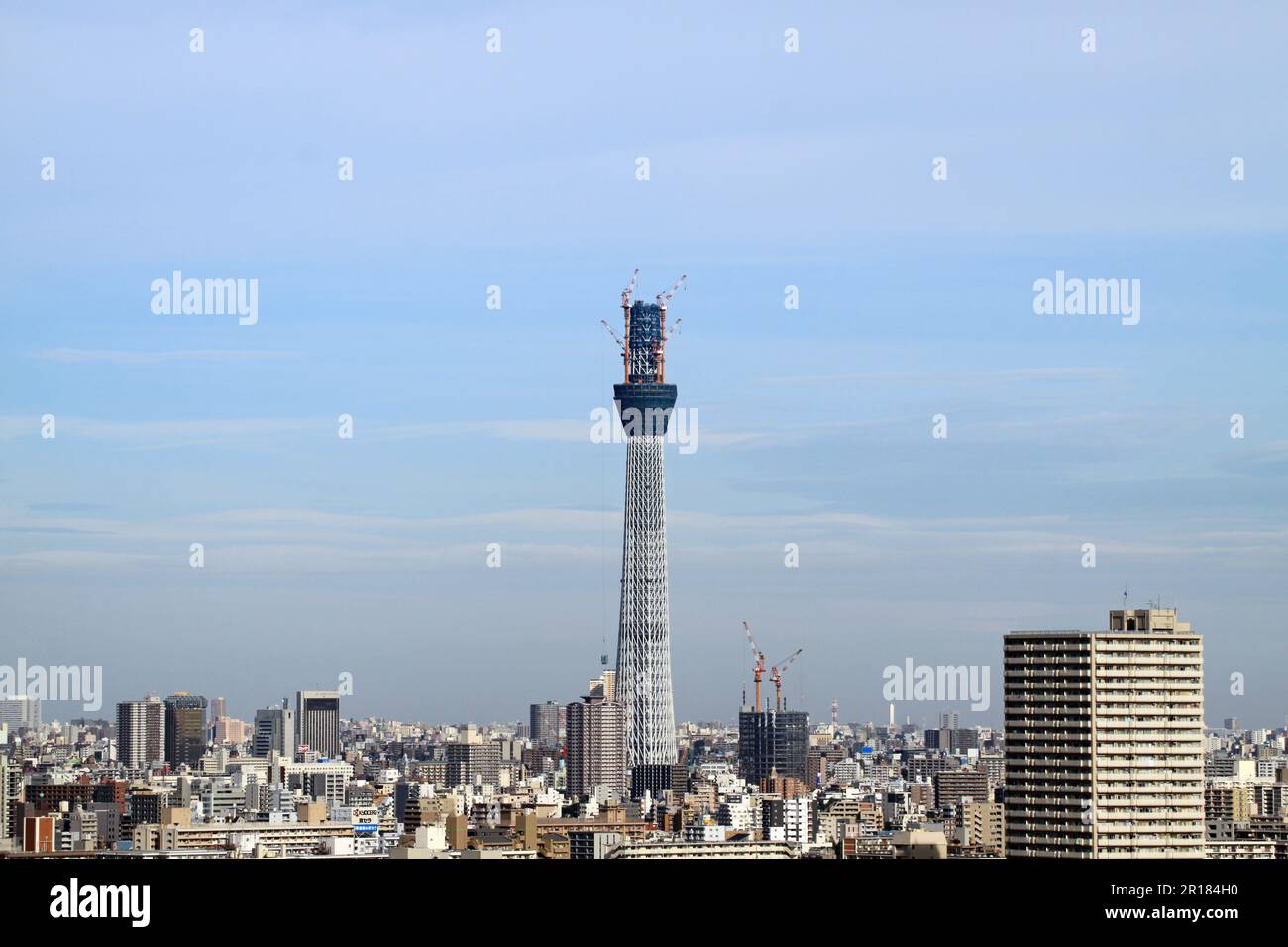 Funabori edogawa hi-res stock photography and images - Alamy