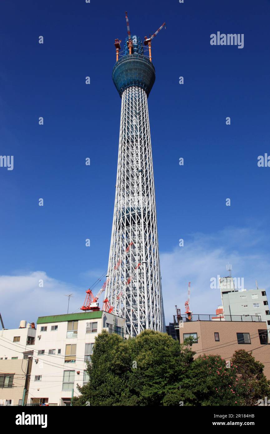 Tokyo Sky tree seen from Narihira bridge Stock Photo - Alamy