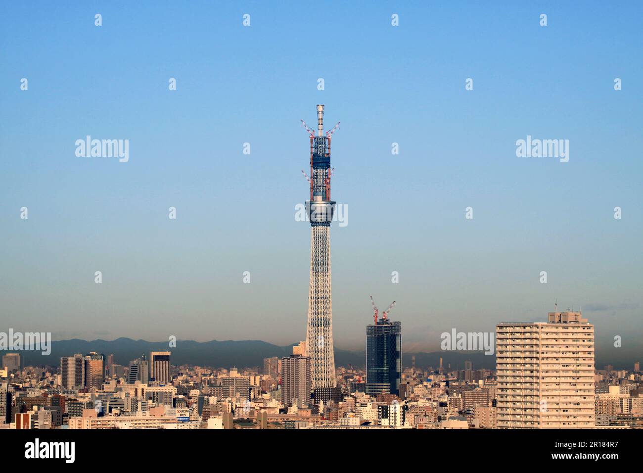 Funabori edogawa hi-res stock photography and images - Alamy