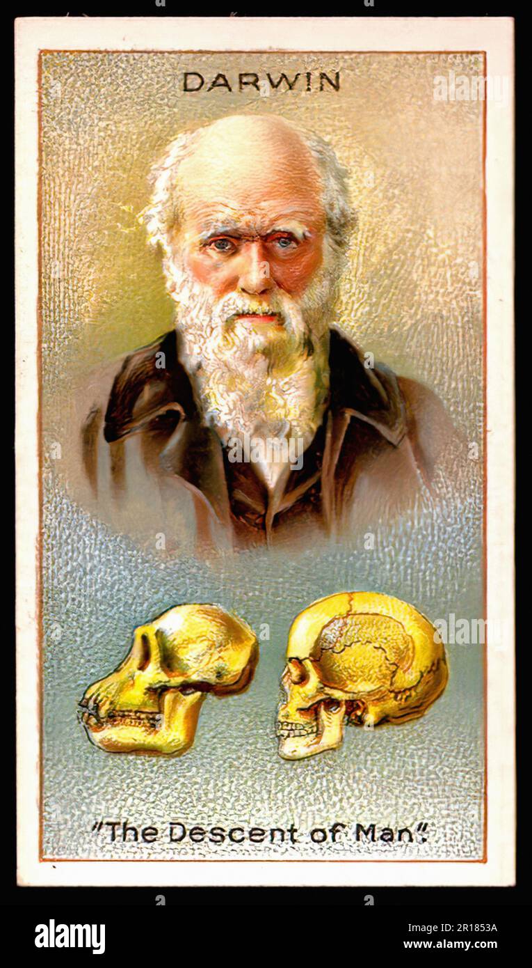 Charles Darwin - Vintage Cigarette Card 01 Stock Photo - Alamy